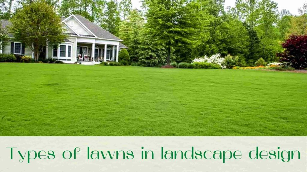 Types of Lawns in Landscape Design | 📞 (647) 830-4834